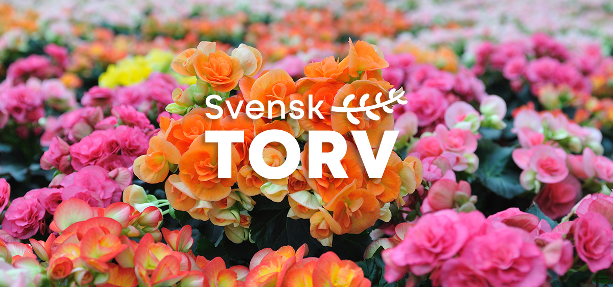 Torven är lika het som sommaren - Svensk Torv